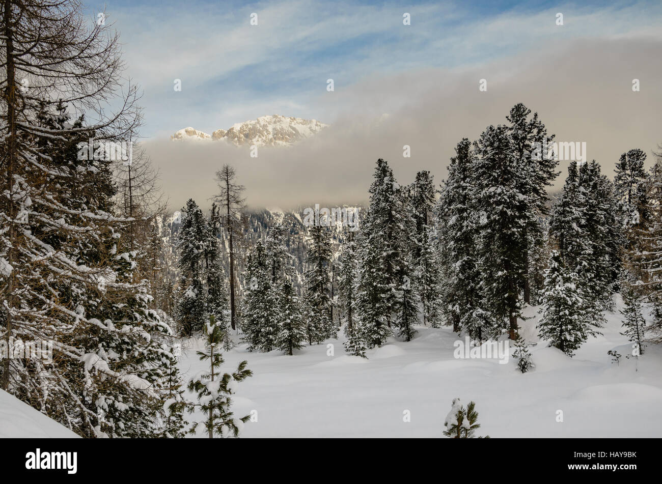 Winterlandschaft hi-res stock photography and images - Alamy