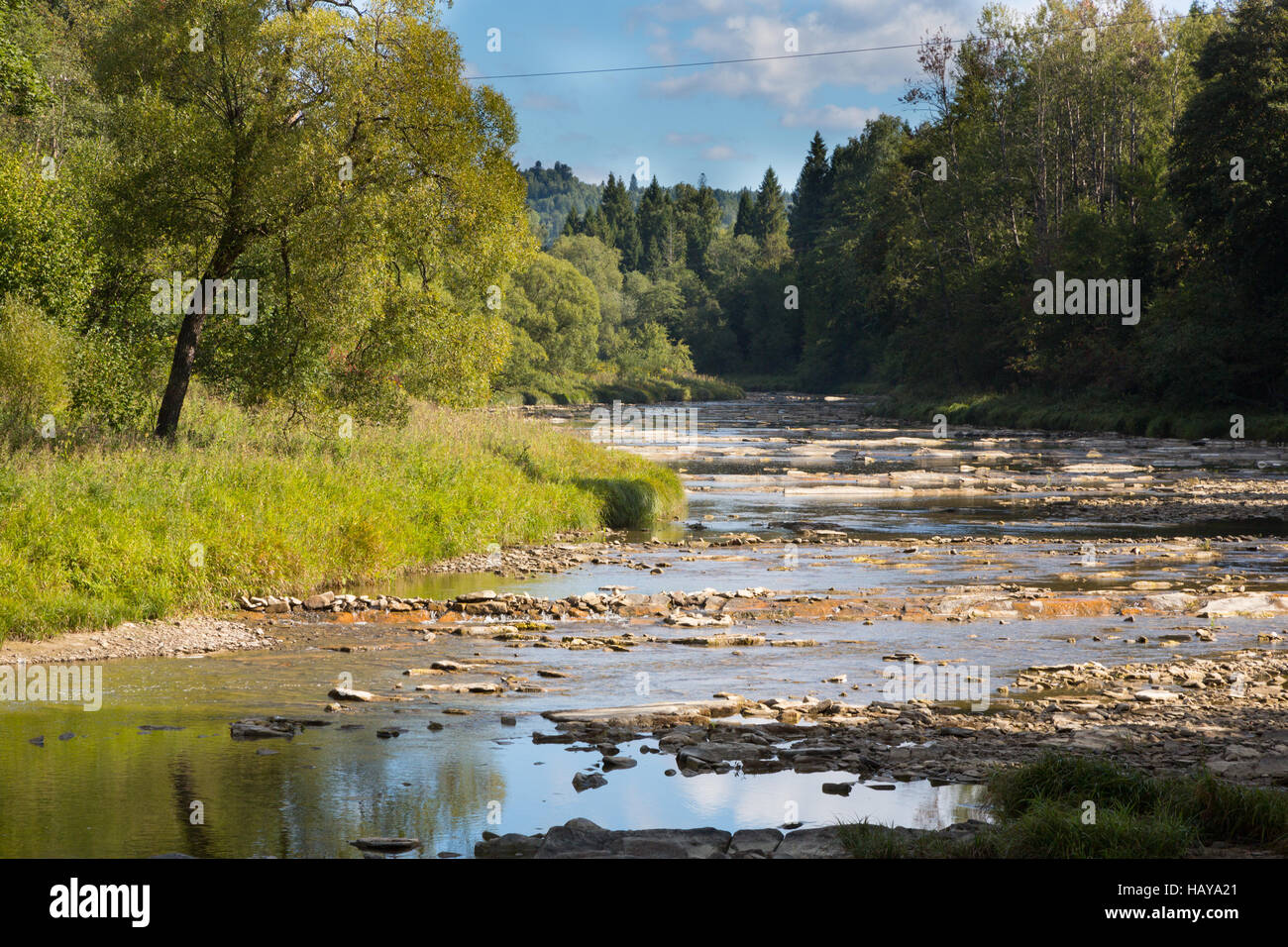San River and Wolosaty Stream junction in summer landscape, Bieszczady ...