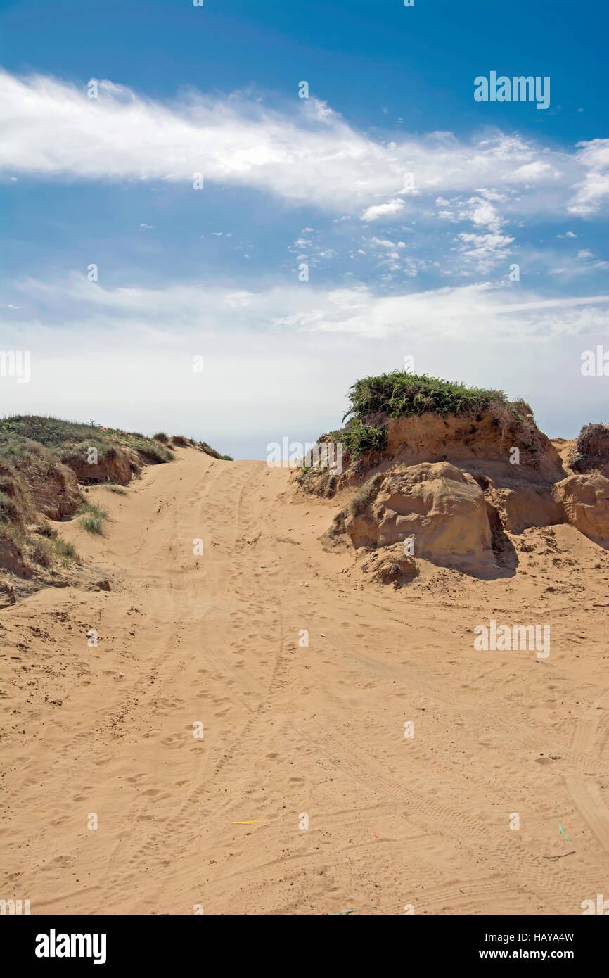 car tracks at the desert Stock Photo - Alamy