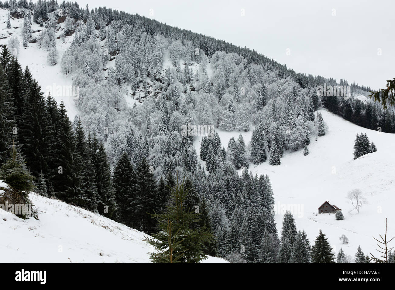 Line berg hi-res stock photography and images - Alamy