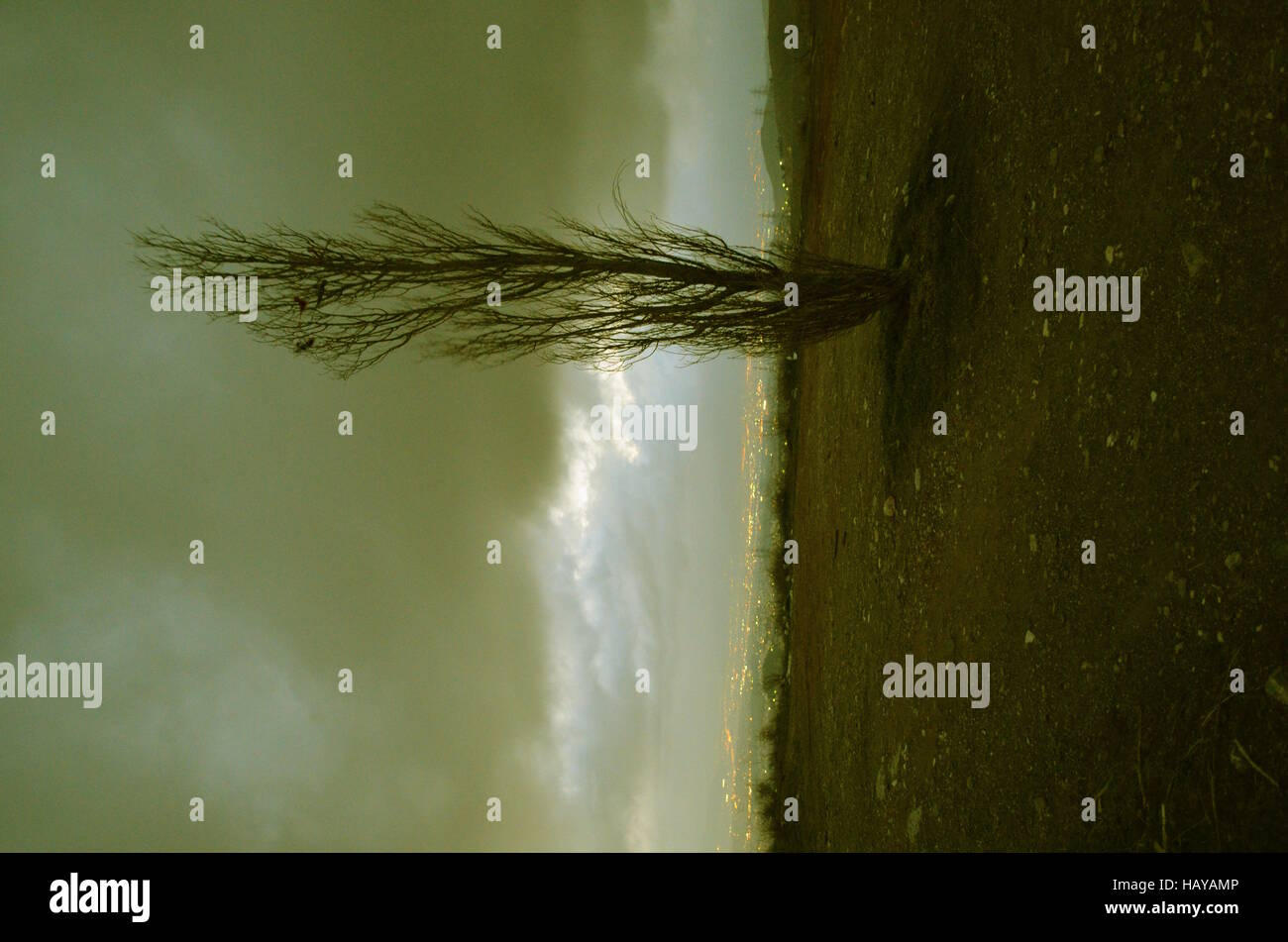 Nature photography out in the open space Stock Photo - Alamy