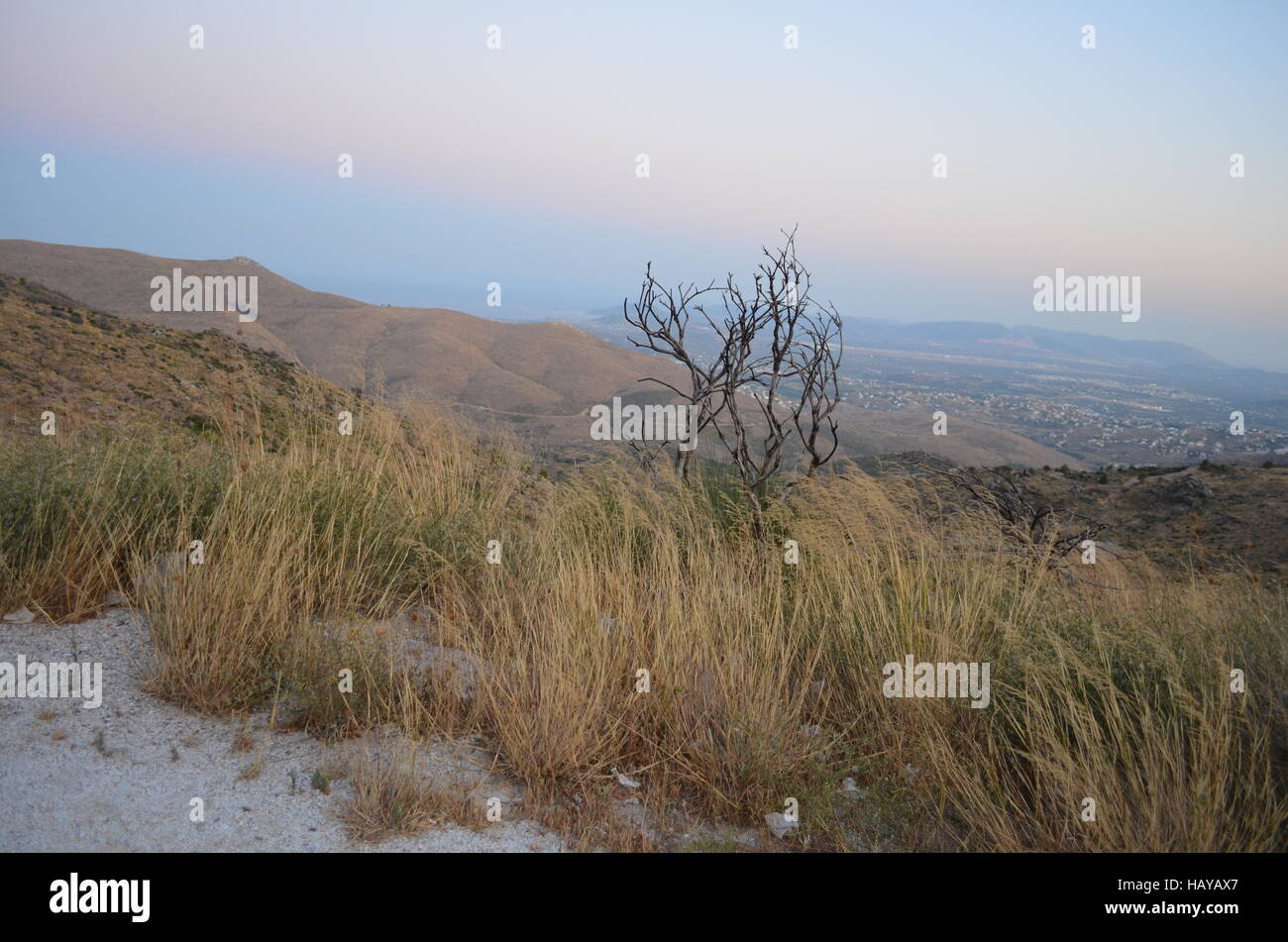 Nature photography out in the open space Stock Photo - Alamy