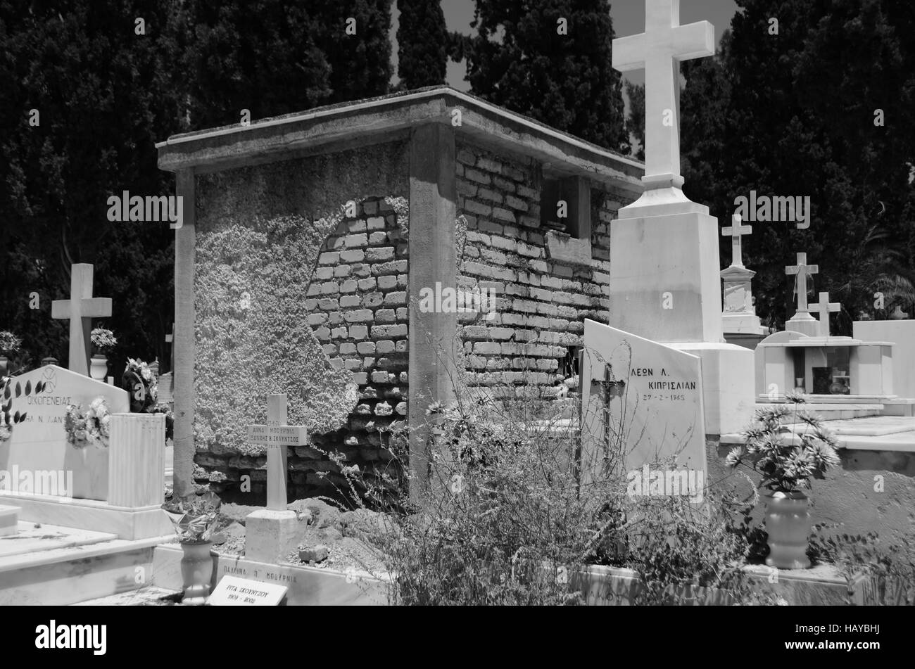 Photographic walk in the cemetery Stock Photo - Alamy