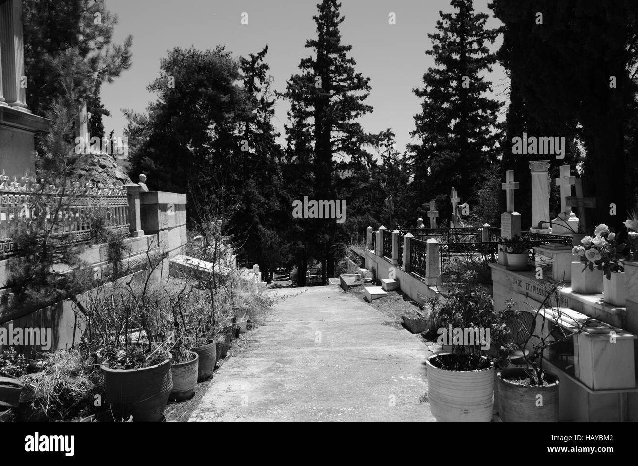 Photographic walk in the cemetery Stock Photo - Alamy