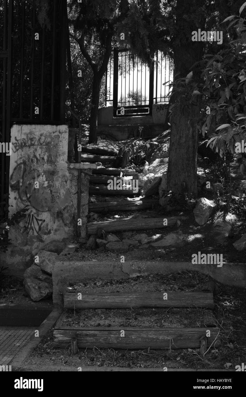 Photographic walk in the cemetery Stock Photo - Alamy