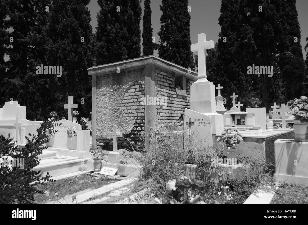 Photographic walk in the cemetery Stock Photo - Alamy