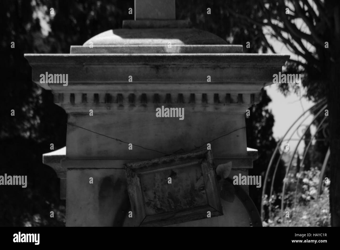 Photographic walk in the cemetery Stock Photo - Alamy