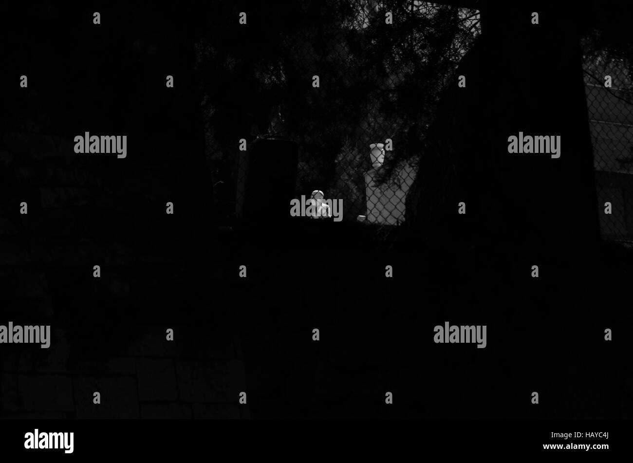 Photographic walk in the cemetery Stock Photo - Alamy