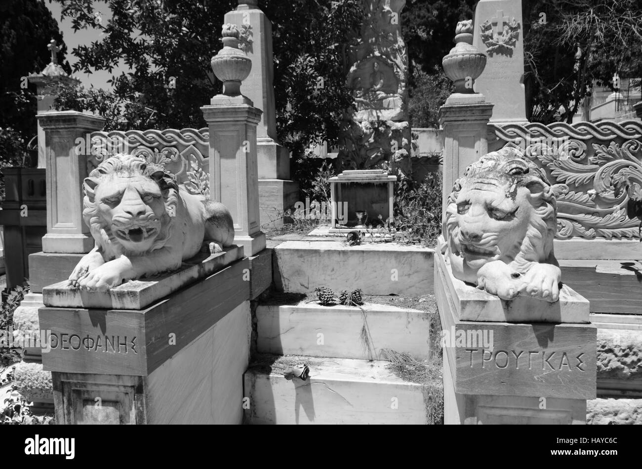Photographic walk in the cemetery Stock Photo - Alamy