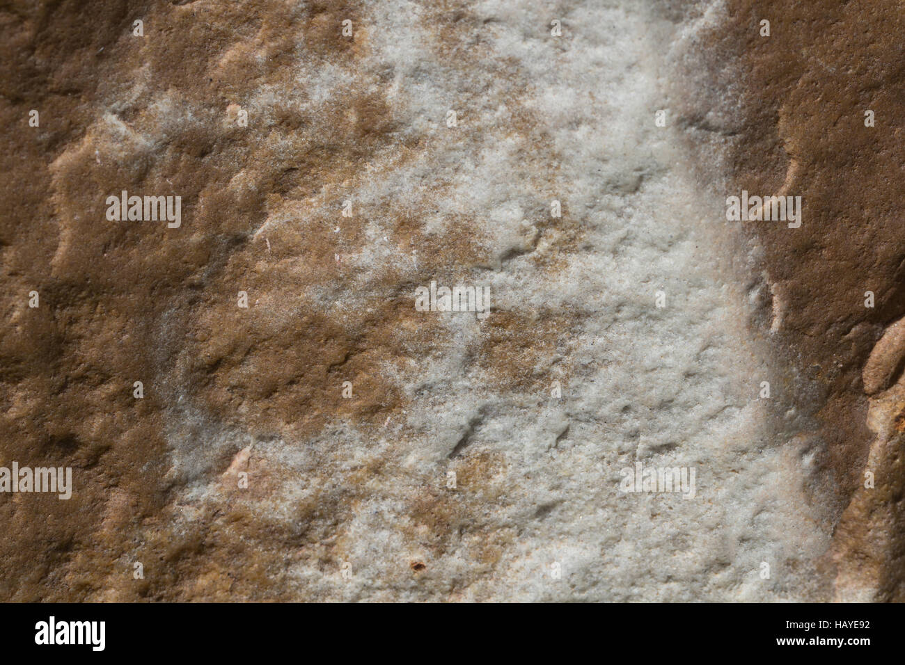 Abstract stone texture. Suitable for surface background,backdrop ...