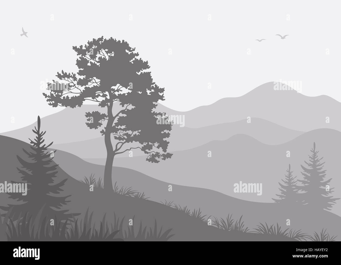 Mountain landscape with trees and birds Stock Photo - Alamy