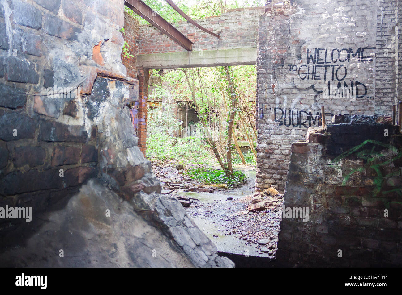 Nature takes over abandoned building Stock Photo - Alamy