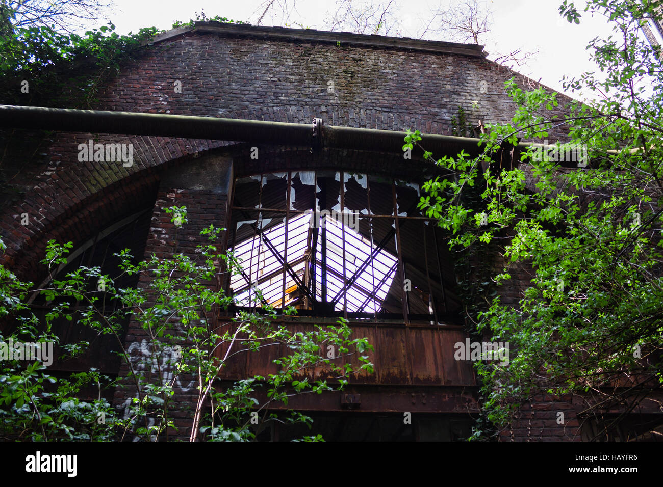 Nature takes over building Stock Photo - Alamy