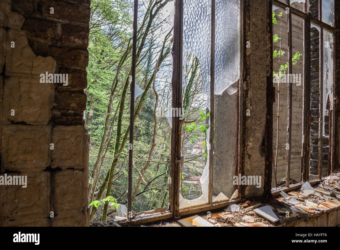 Decay in abandoned building Stock Photo - Alamy
