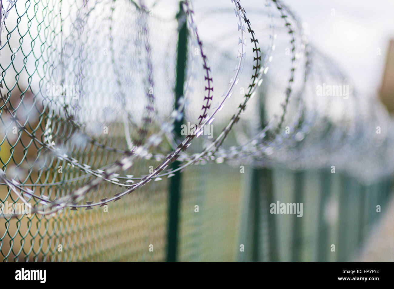 Barb wire fence hi-res stock photography and images - Alamy