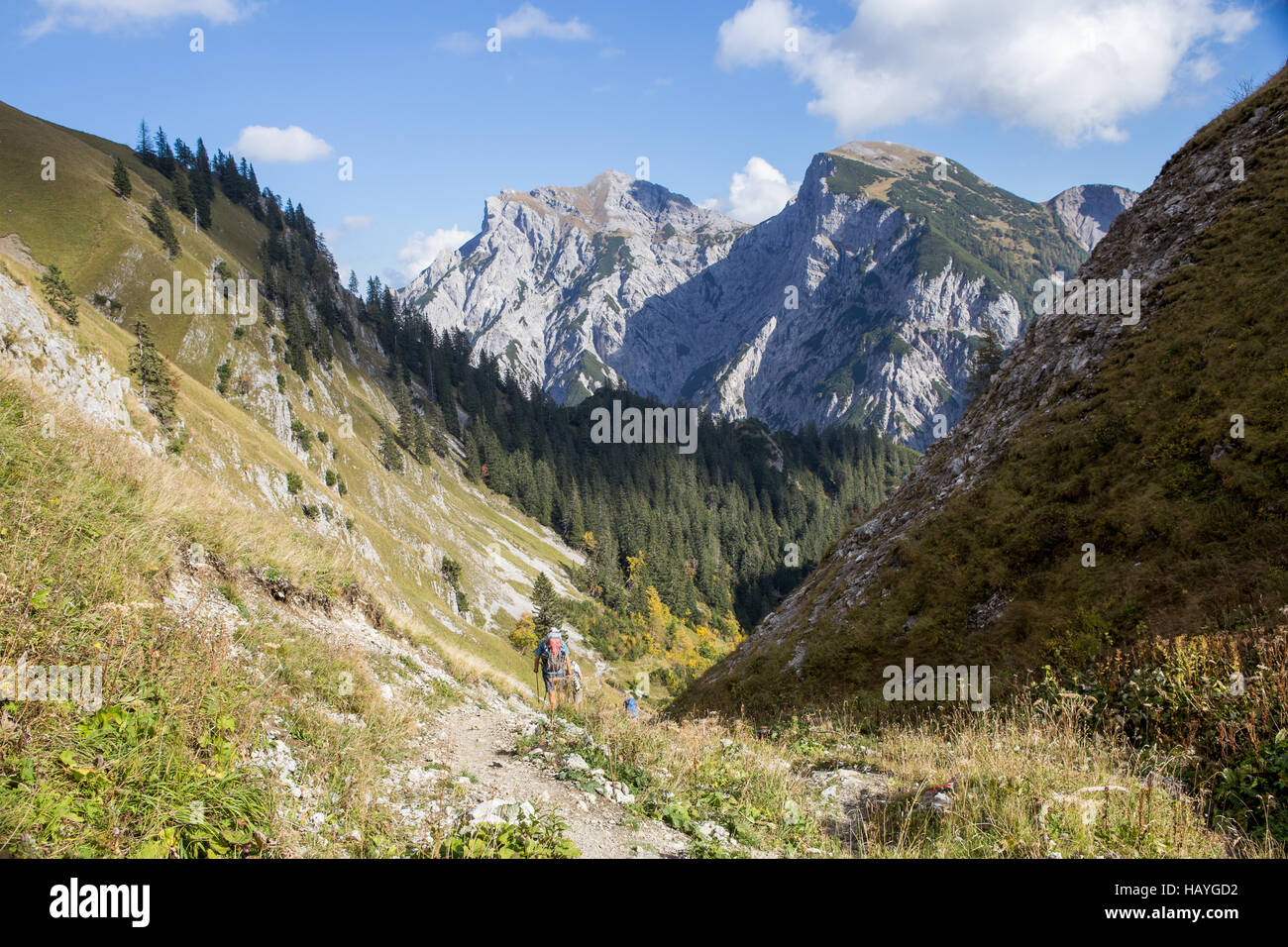 Urlaub pertisau hi-res stock photography and images - Alamy