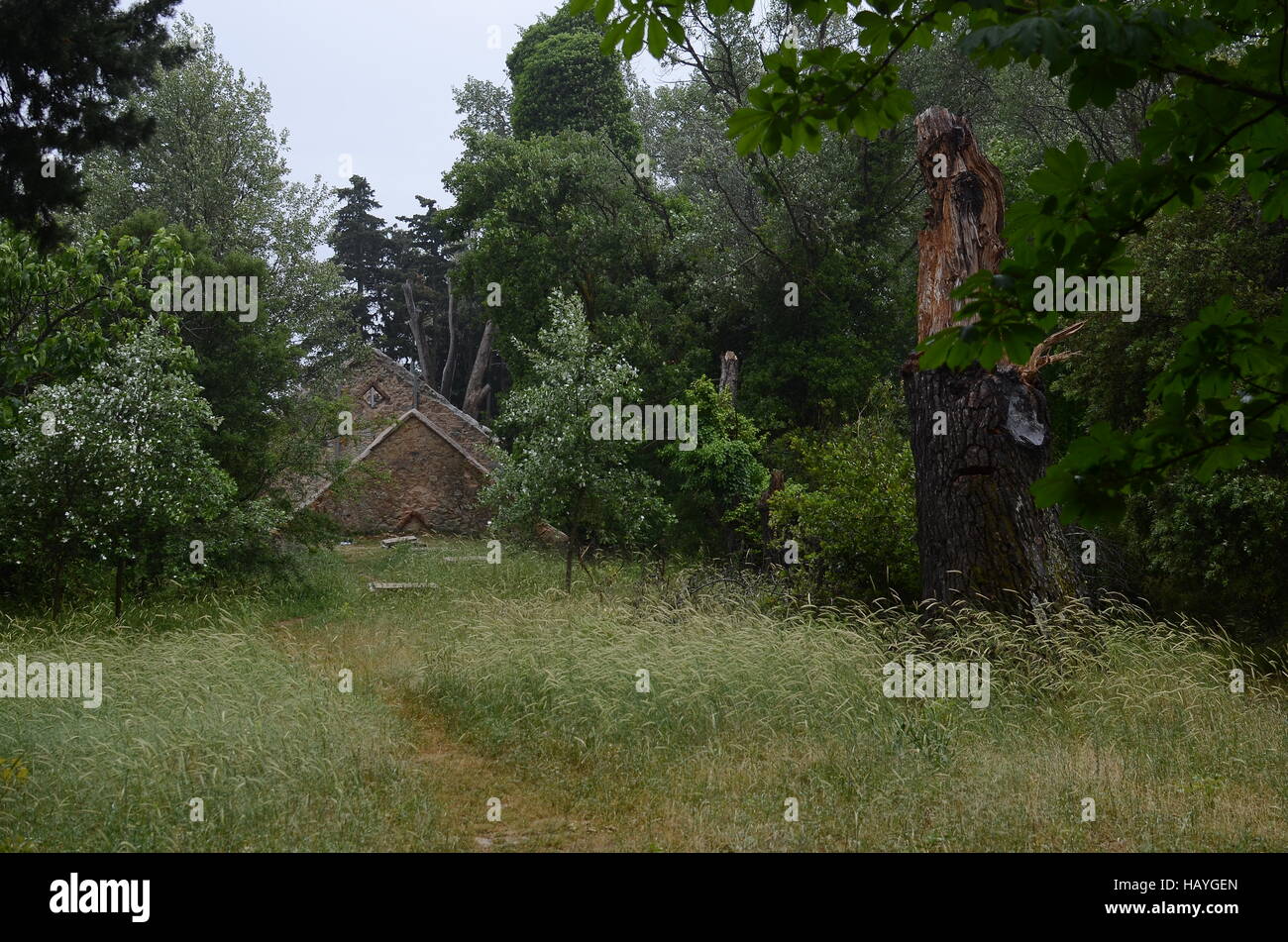 Urban Exploration in Greece Stock Photo - Alamy