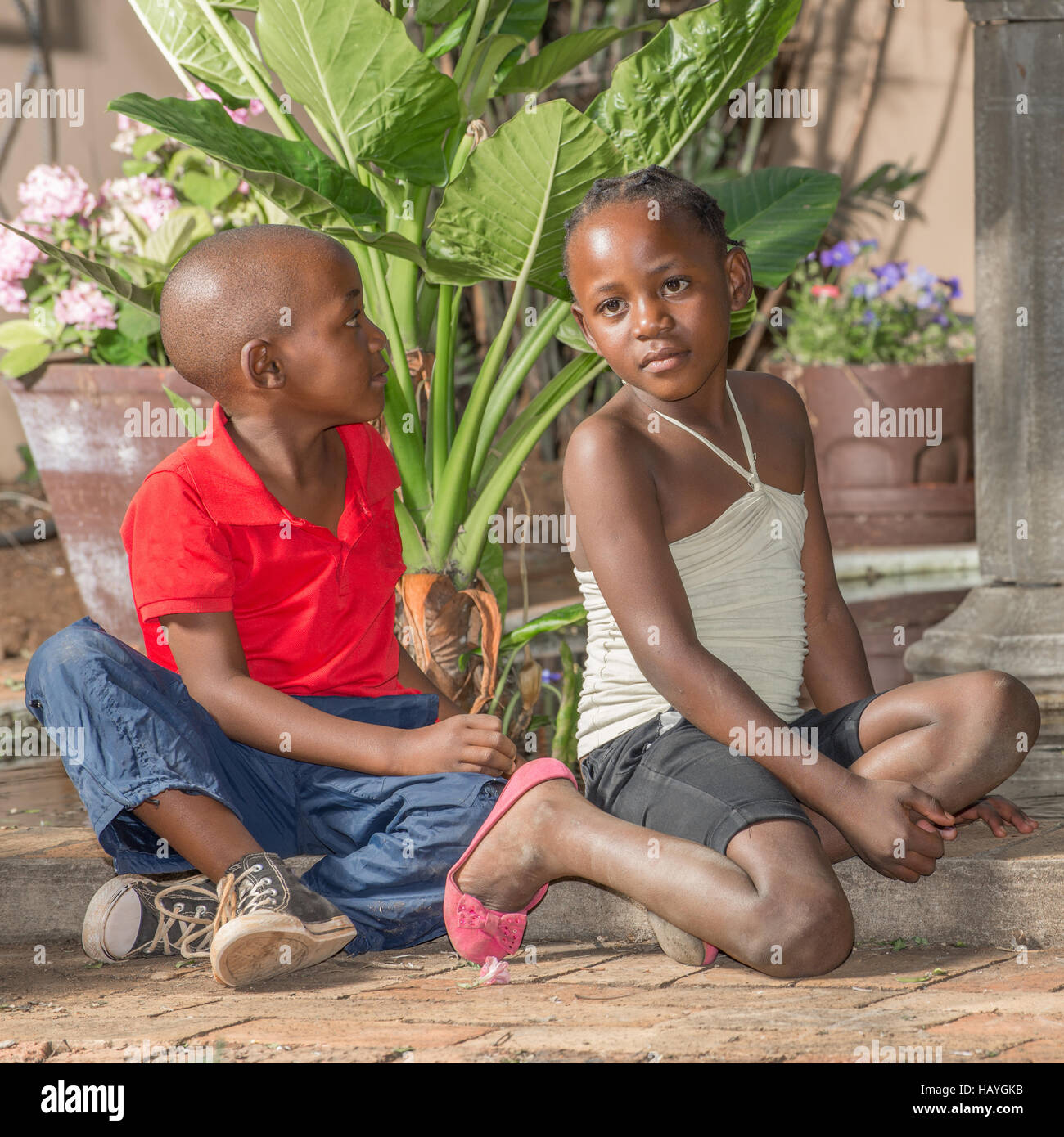 Twins hi-res stock photography and images - Alamy