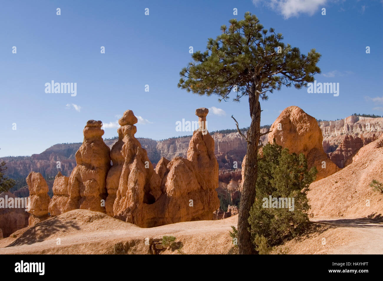 U..S.A.UTAH BRYCE CANYON NATIONAL PARK HOODOOS ON THE NAVAJO TRAIL ...