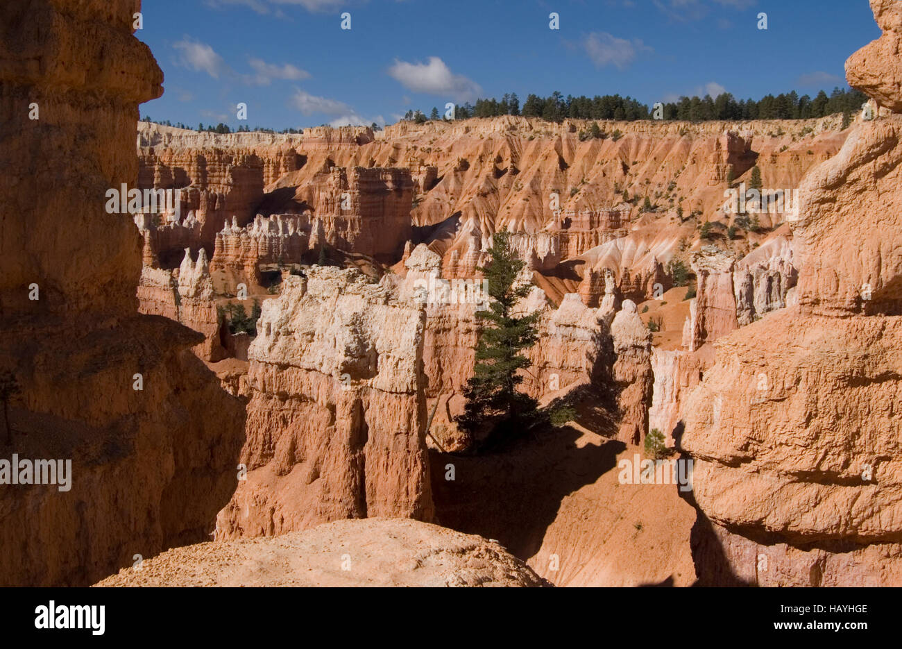 U.S.A. UTAH. BRYCE CANYON NATIONAL PARK NAVAJO TRAIL DESCENT Stock ...
