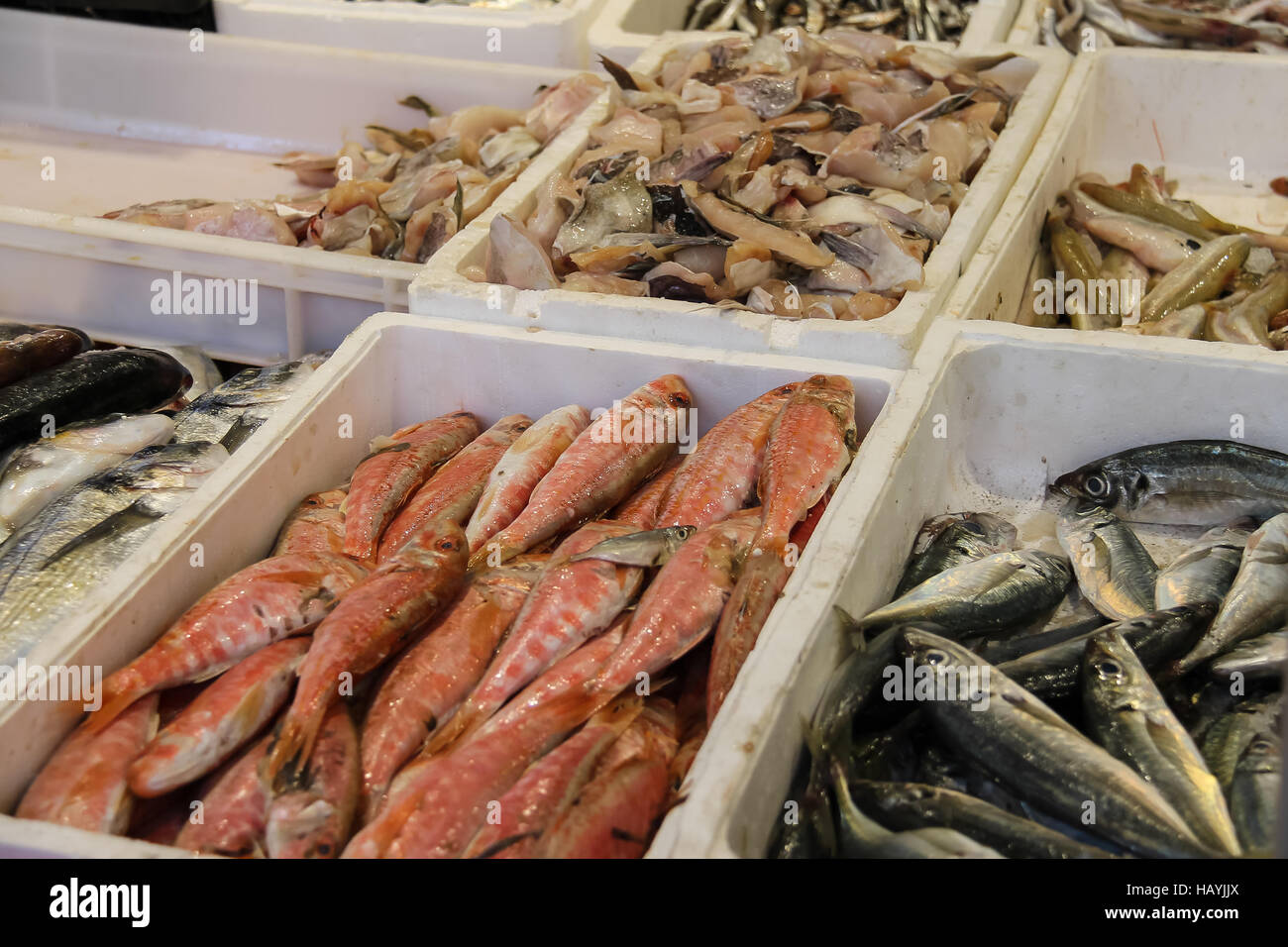 Sale of fresh seafood in the street market. Utrecht, the Netherlands ...
