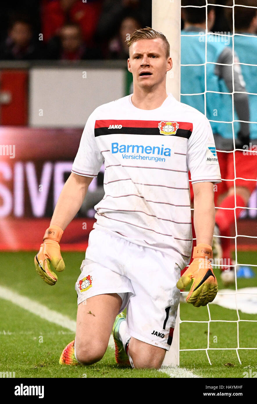 BayArena Leverkusen Germany 18.11.2016, 1st Football Bundesliga season ...