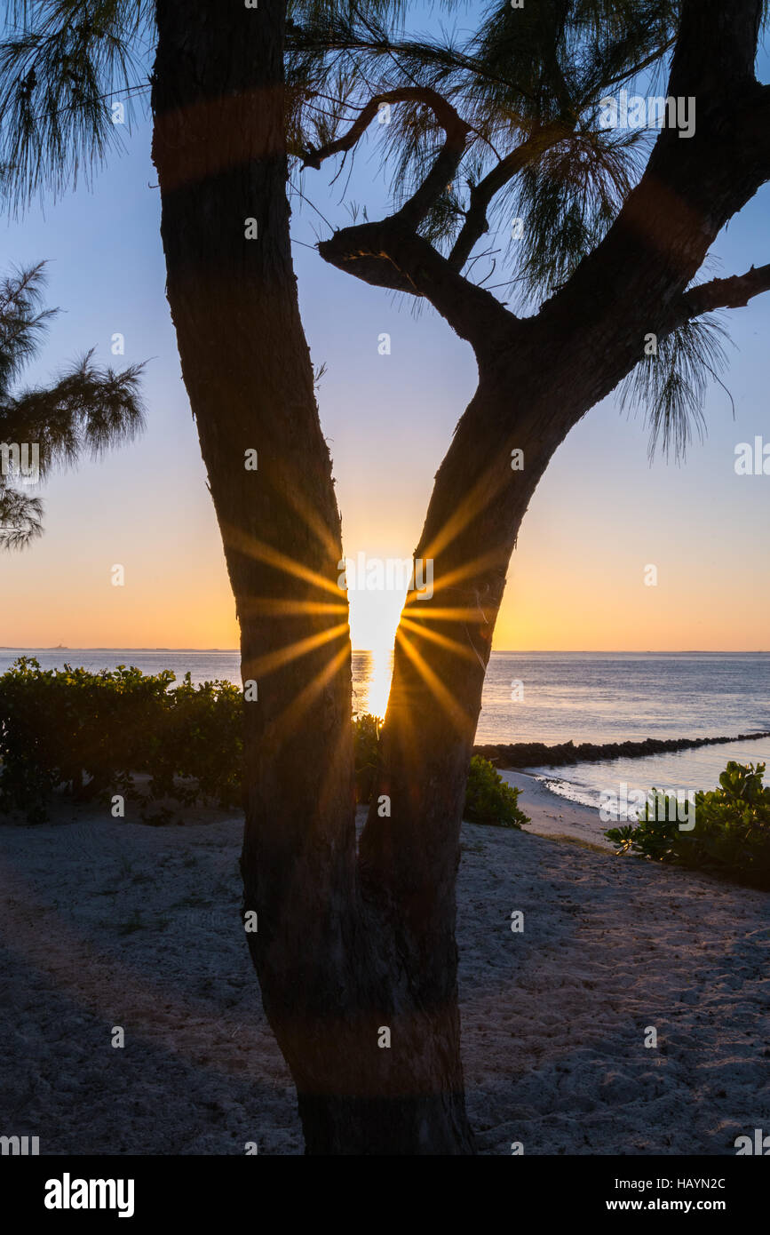 Pointe d'Esny, Mauritius Stock Photo - Alamy