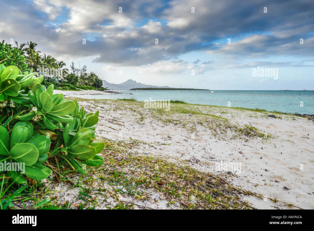 Pointe d'Esny, Mauritius Stock Photo - Alamy