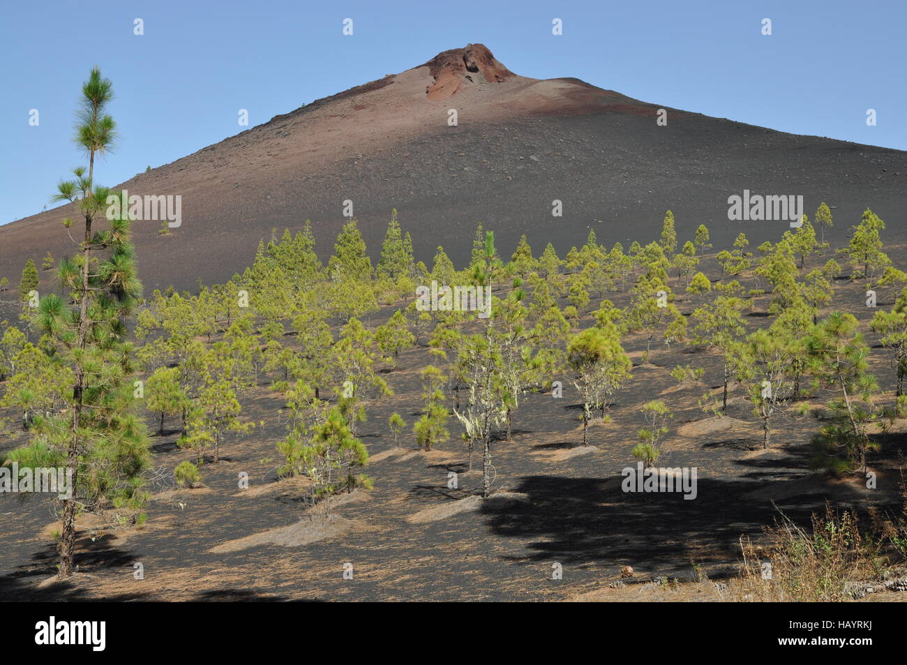 Volcan garachico hi-res stock photography and images - Alamy