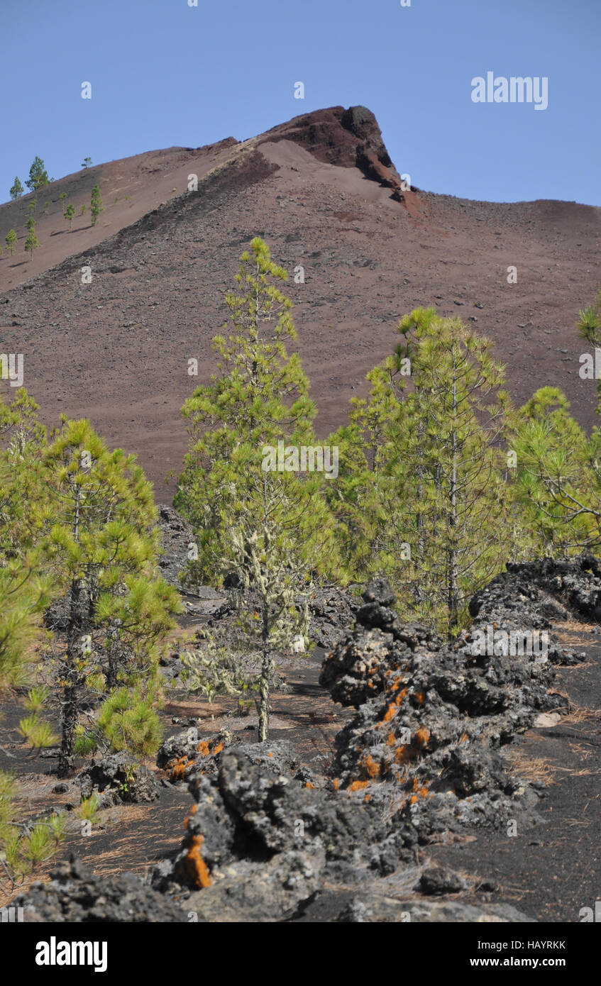 Volcan garachico hi-res stock photography and images - Alamy