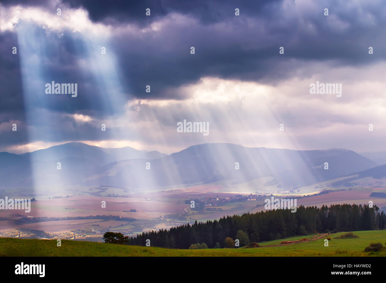 Sunlight beams hi-res stock photography and images - Alamy