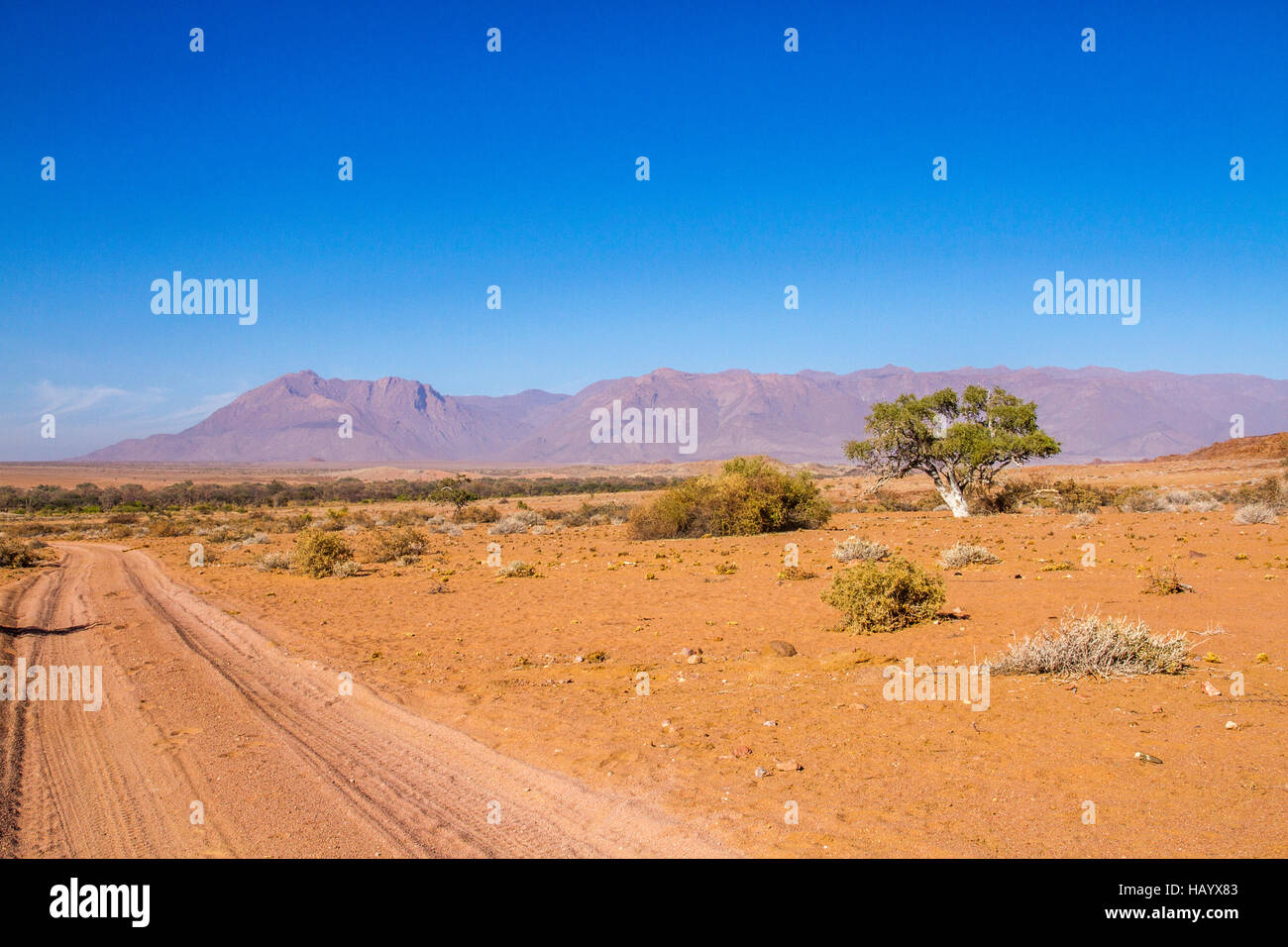 The vivid colours of the Namib desert spread out towards Brandberg ...