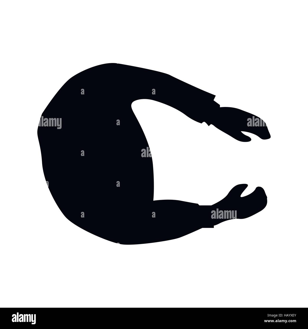 Silhouette People From Above