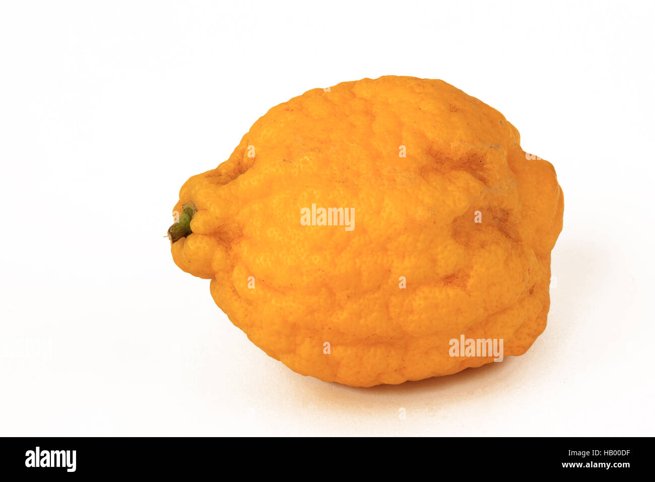 Citron (Citrus medica Stock Photo - Alamy