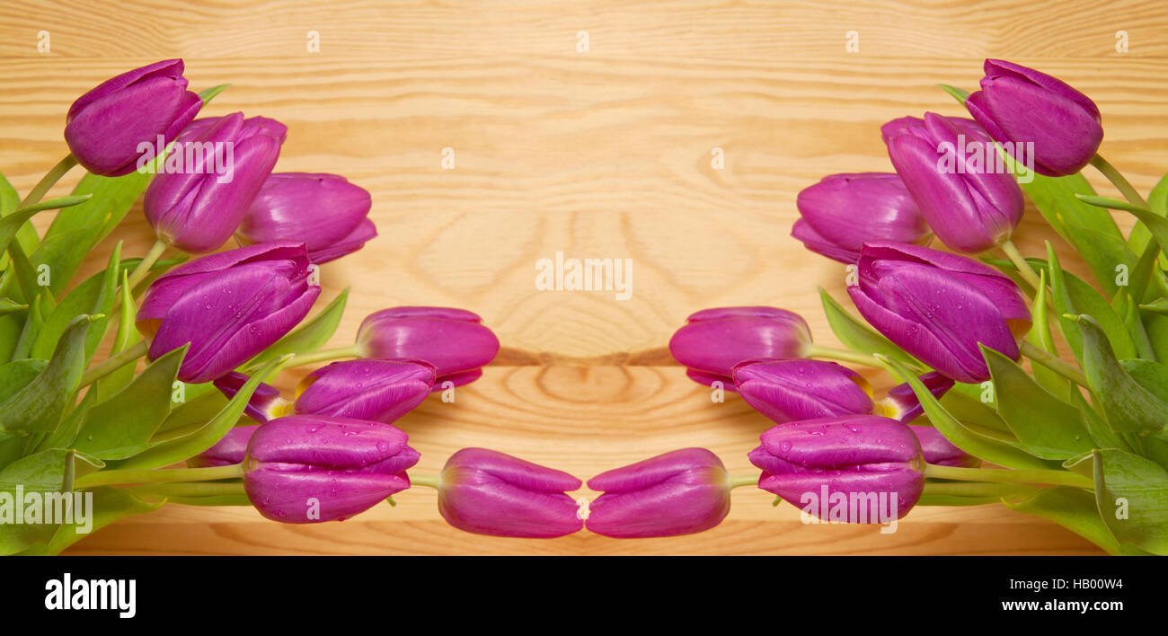 Pink tulips background Stock Photo - Alamy
