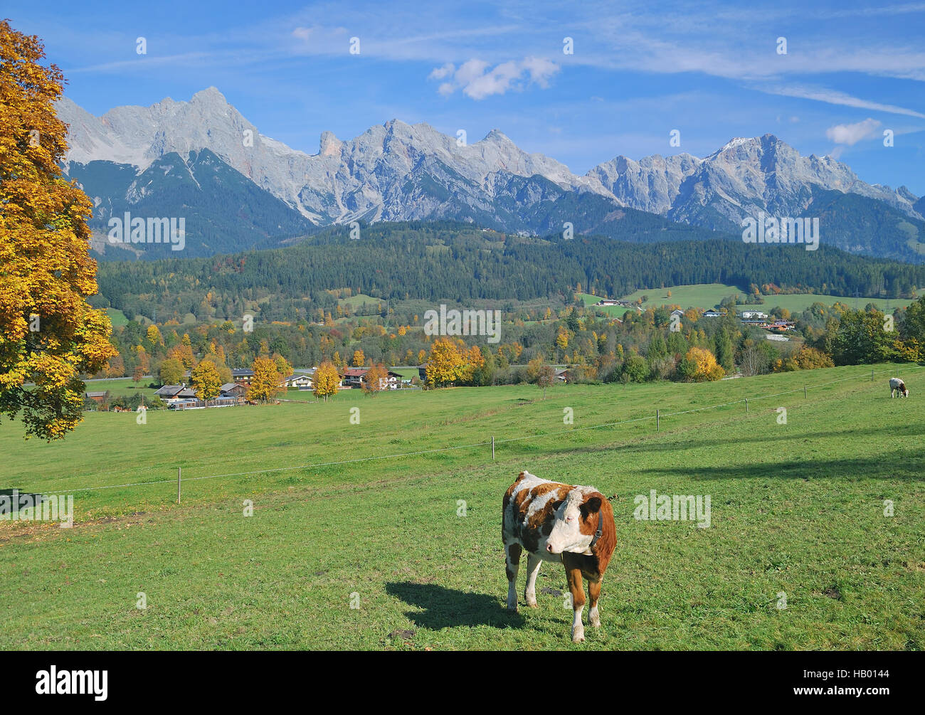 Leogang steinberge hi-res stock photography and images - Alamy