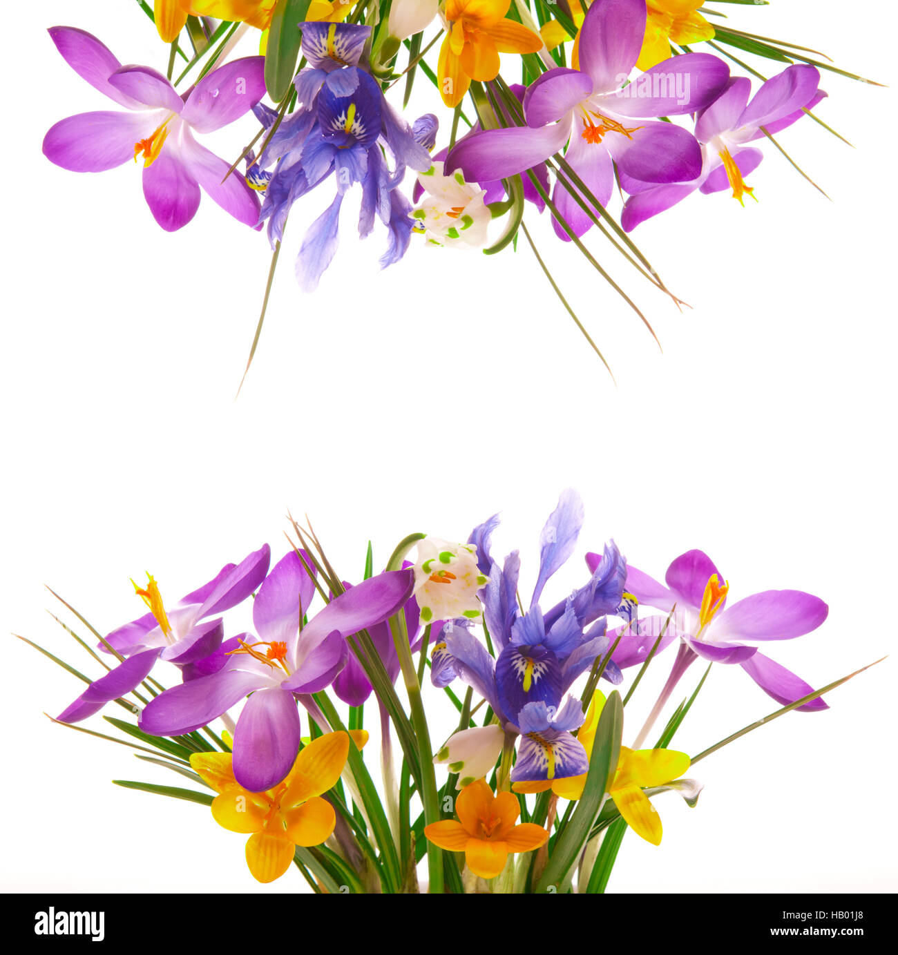 Colorful spring flowers Stock Photo - Alamy