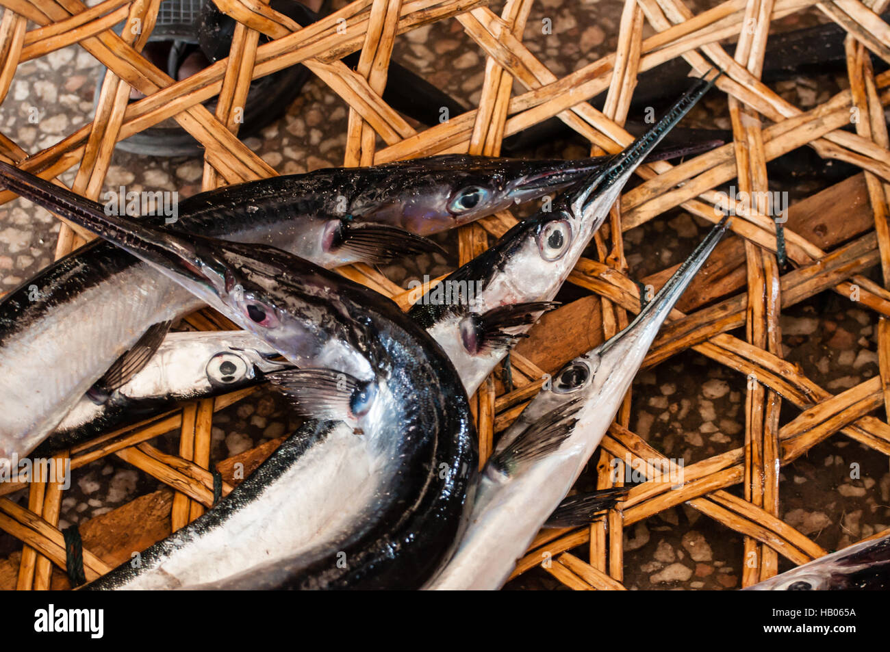 Fresh barracuda fish market hi-res stock photography and images - Alamy