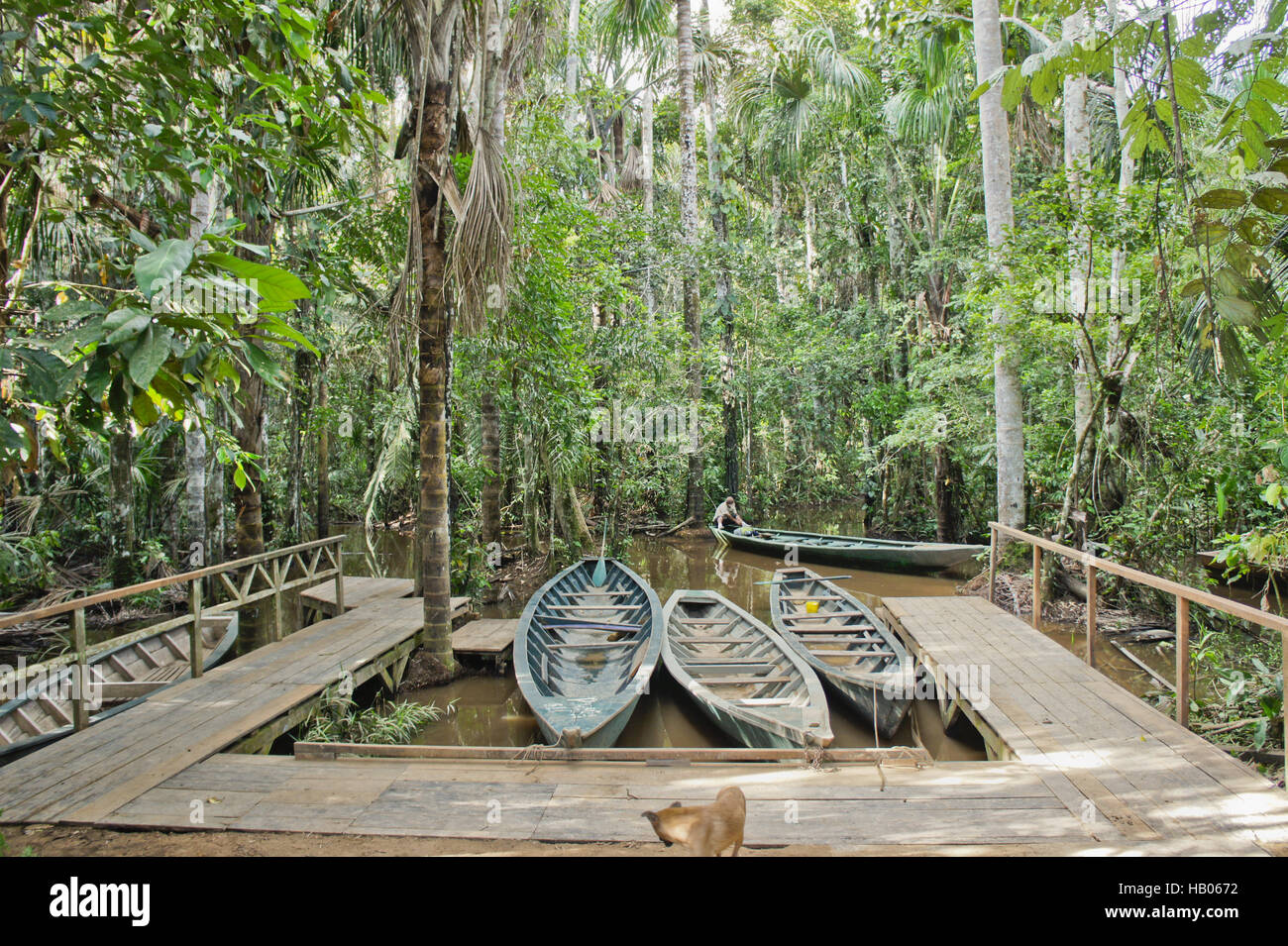 Amazon basin peru hi-res stock photography and images - Alamy