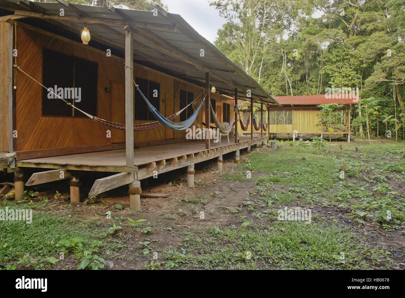 Amazon Basin, Peru Stock Photo - Alamy