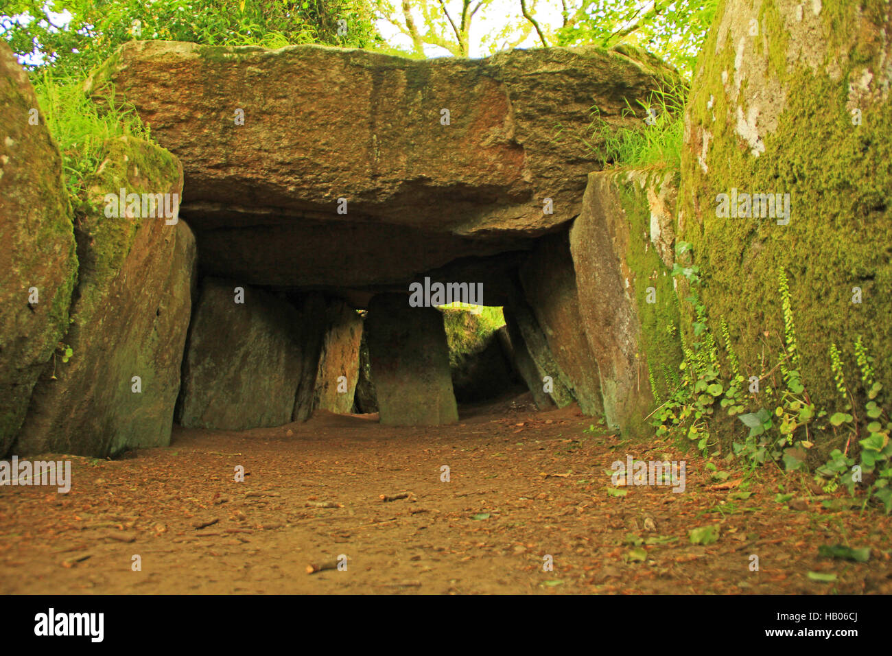 Dolmen in Brittany, France Stock Photo - Alamy