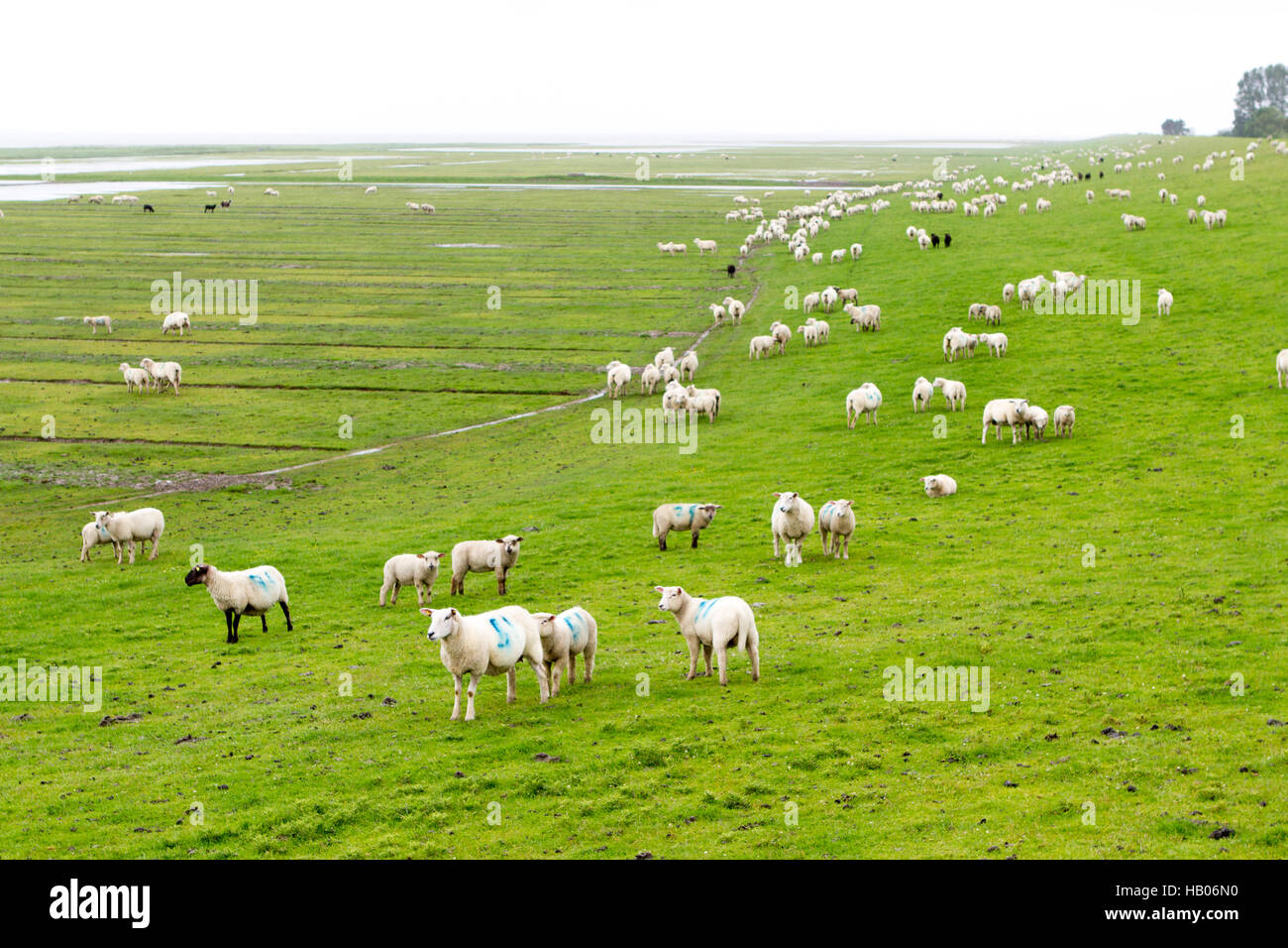 1319 hi-res stock photography and images - Alamy