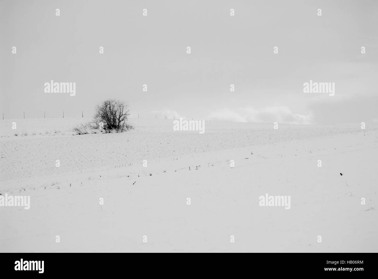 Wintry Black and White Stock Photos & Images - Alamy