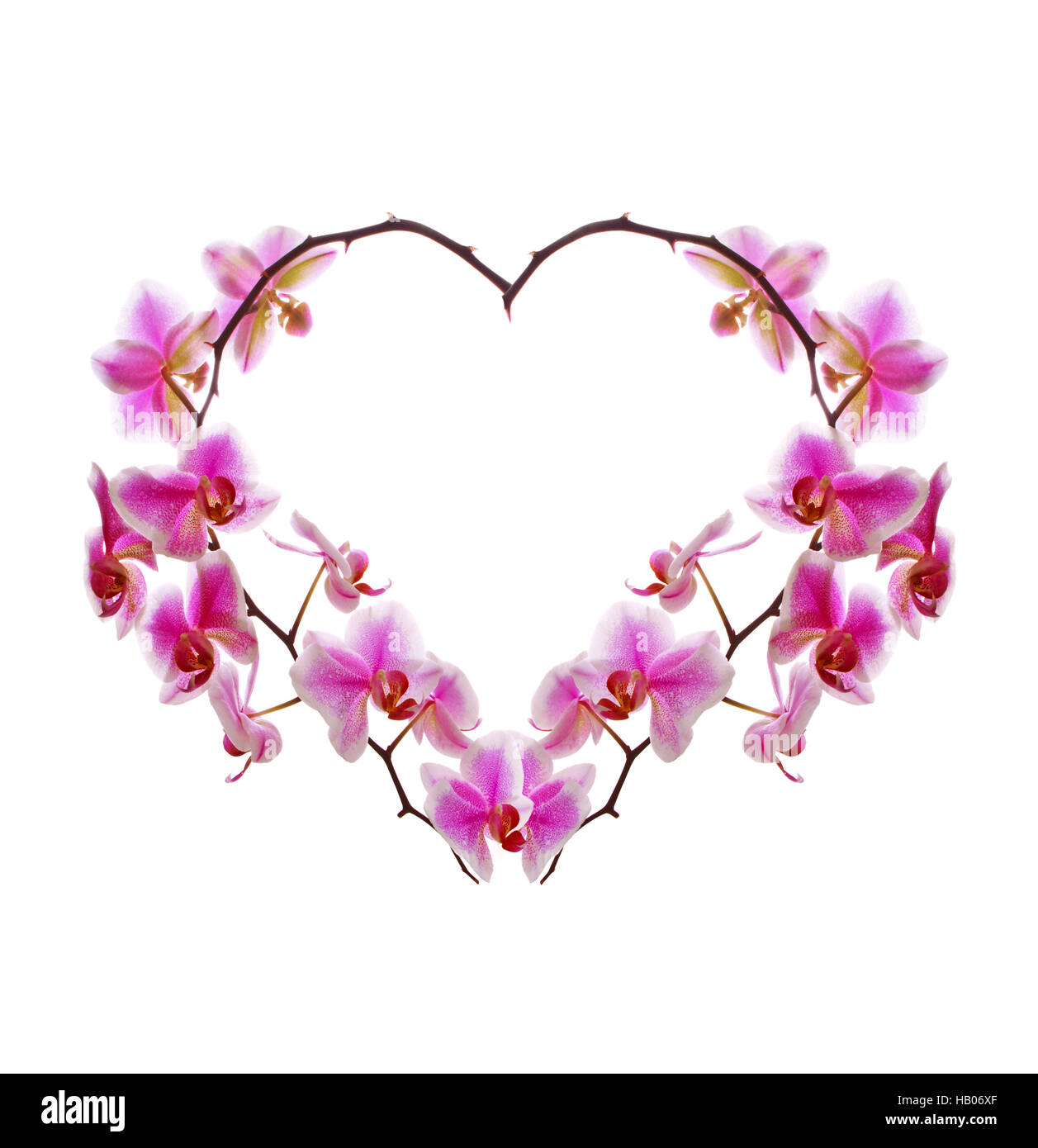 Orchid Flowers heart Stock Photo - Alamy