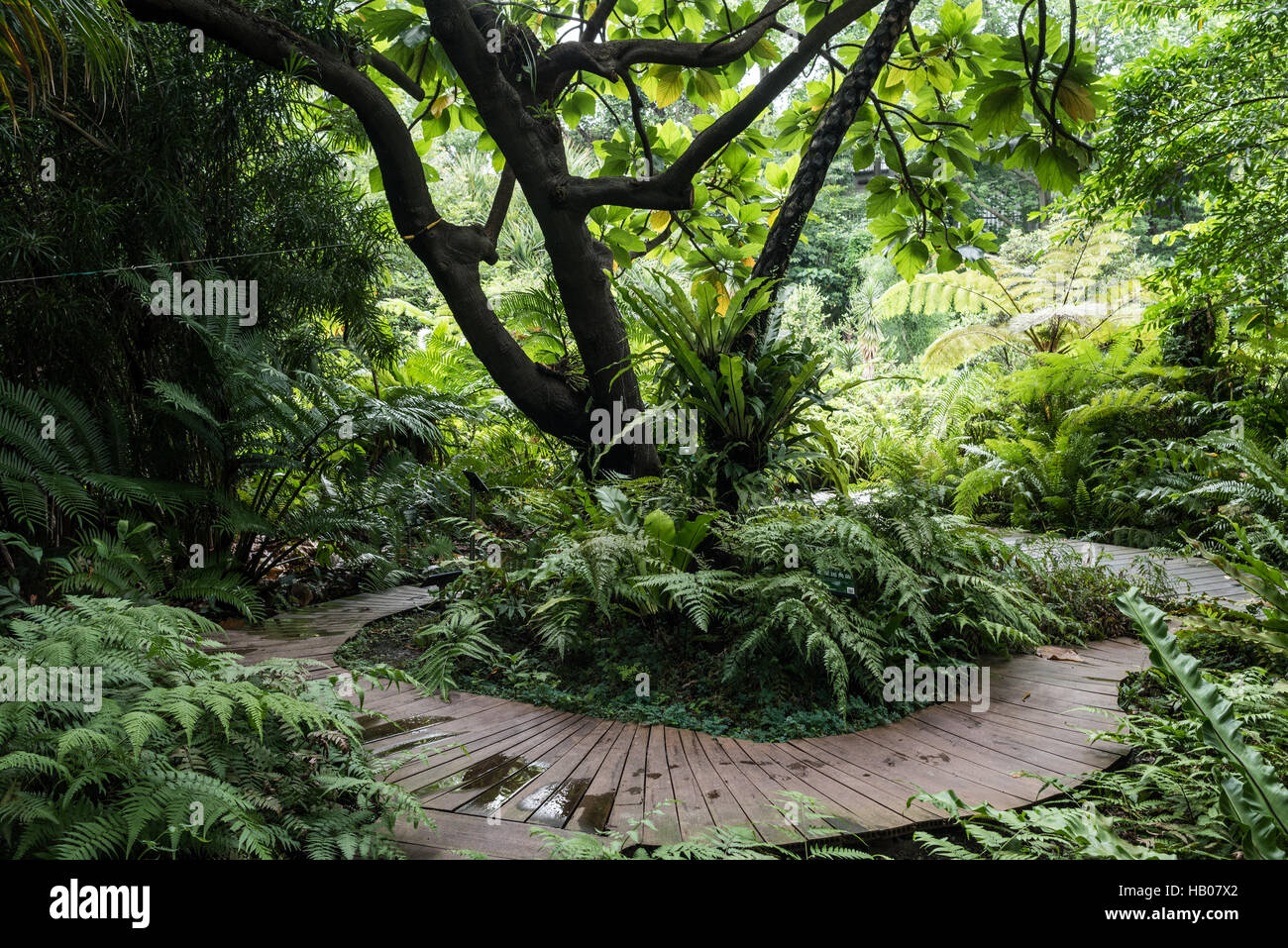 Botanical garden in Taipei, Taiwan Stock Photo - Alamy