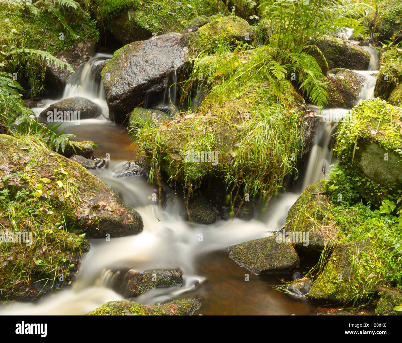 Brook bank hi-res stock photography and images - Alamy
