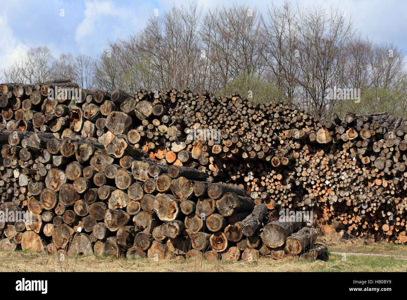 Lumberyard, Bavaria, Germany Stock Photo - Alamy
