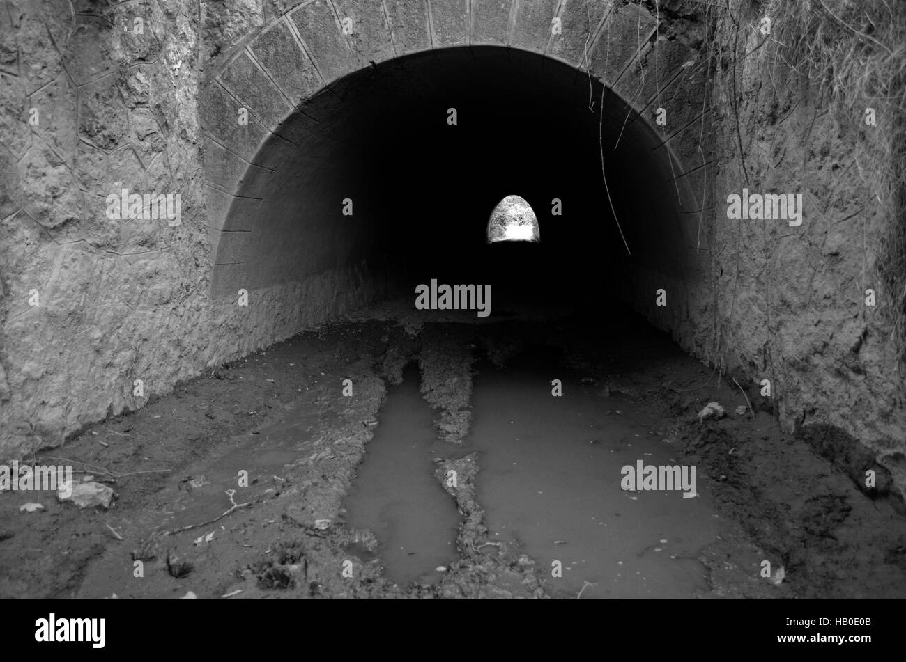 Urban exploration at abandoned train station Stock Photo - Alamy
