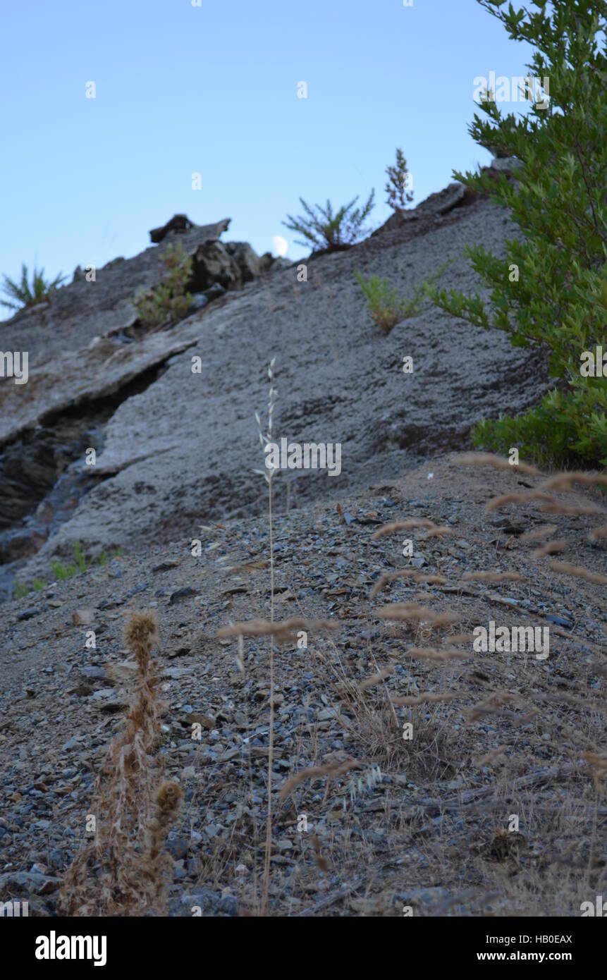 Image of abstract rock shape Stock Photo - Alamy