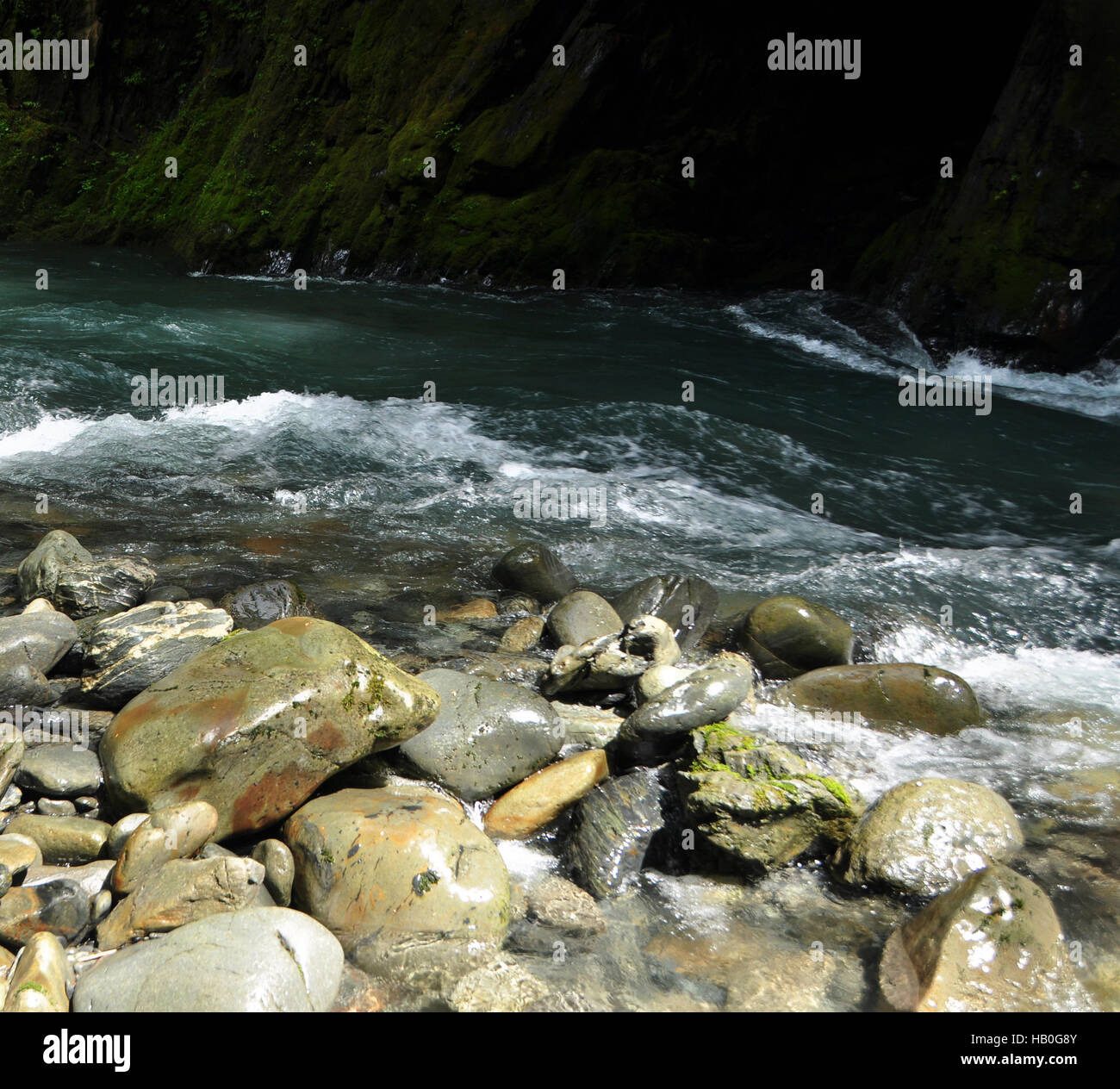 Rock and water design, Quinault River, Olympic National Park ...